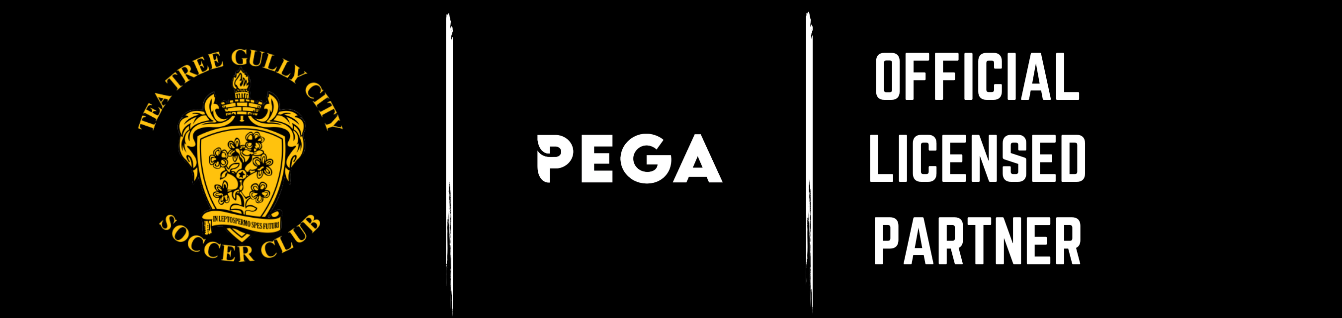 Tea Tree Gully – Pega Sports