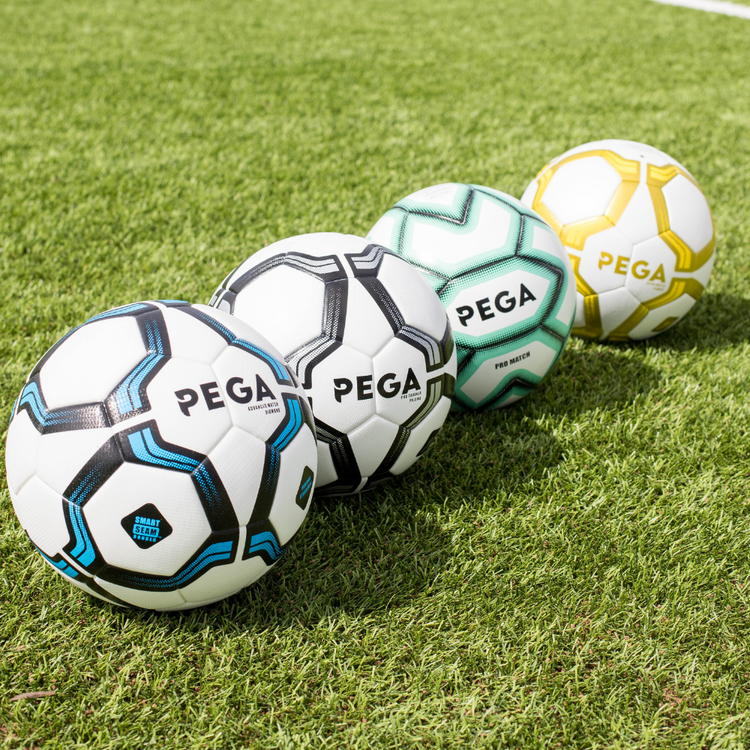 About – Pega Sports